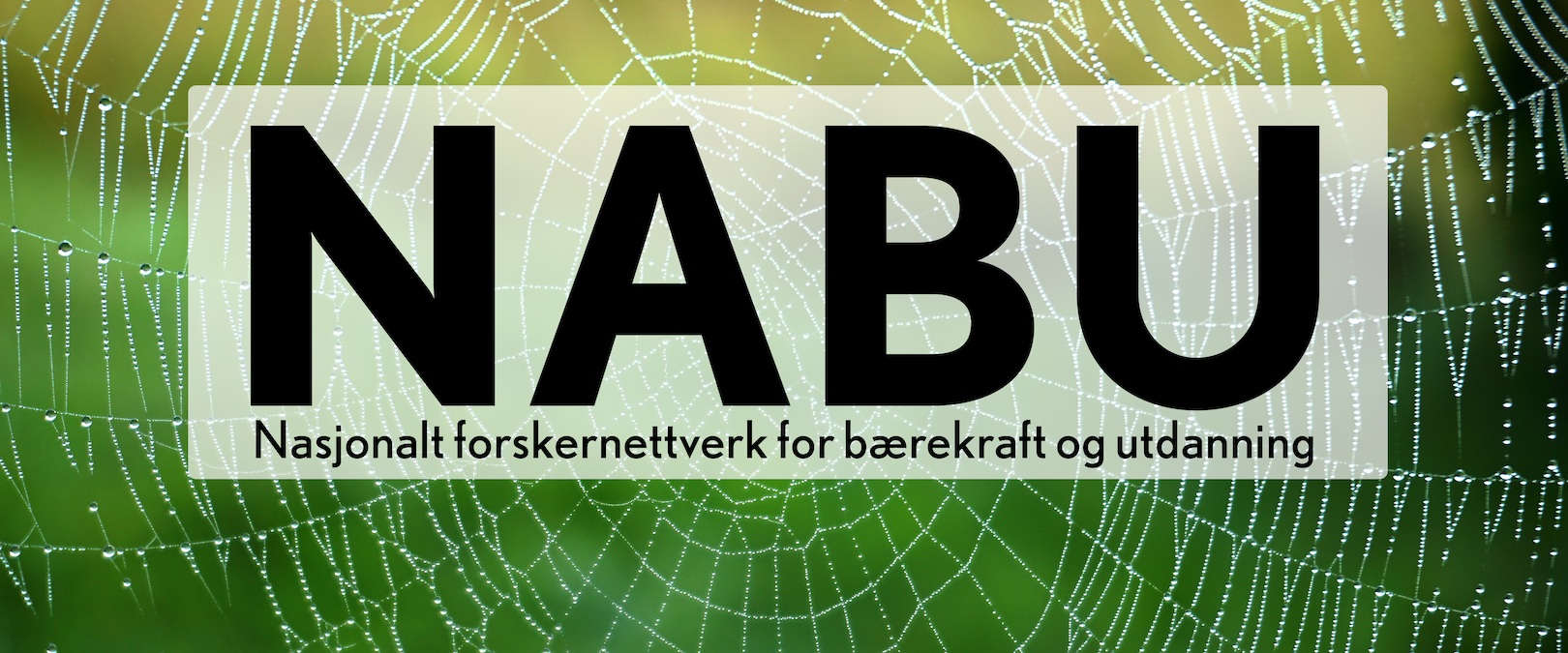 Nasjonalt forskernettverk for bærekraft og utdanning – NABU